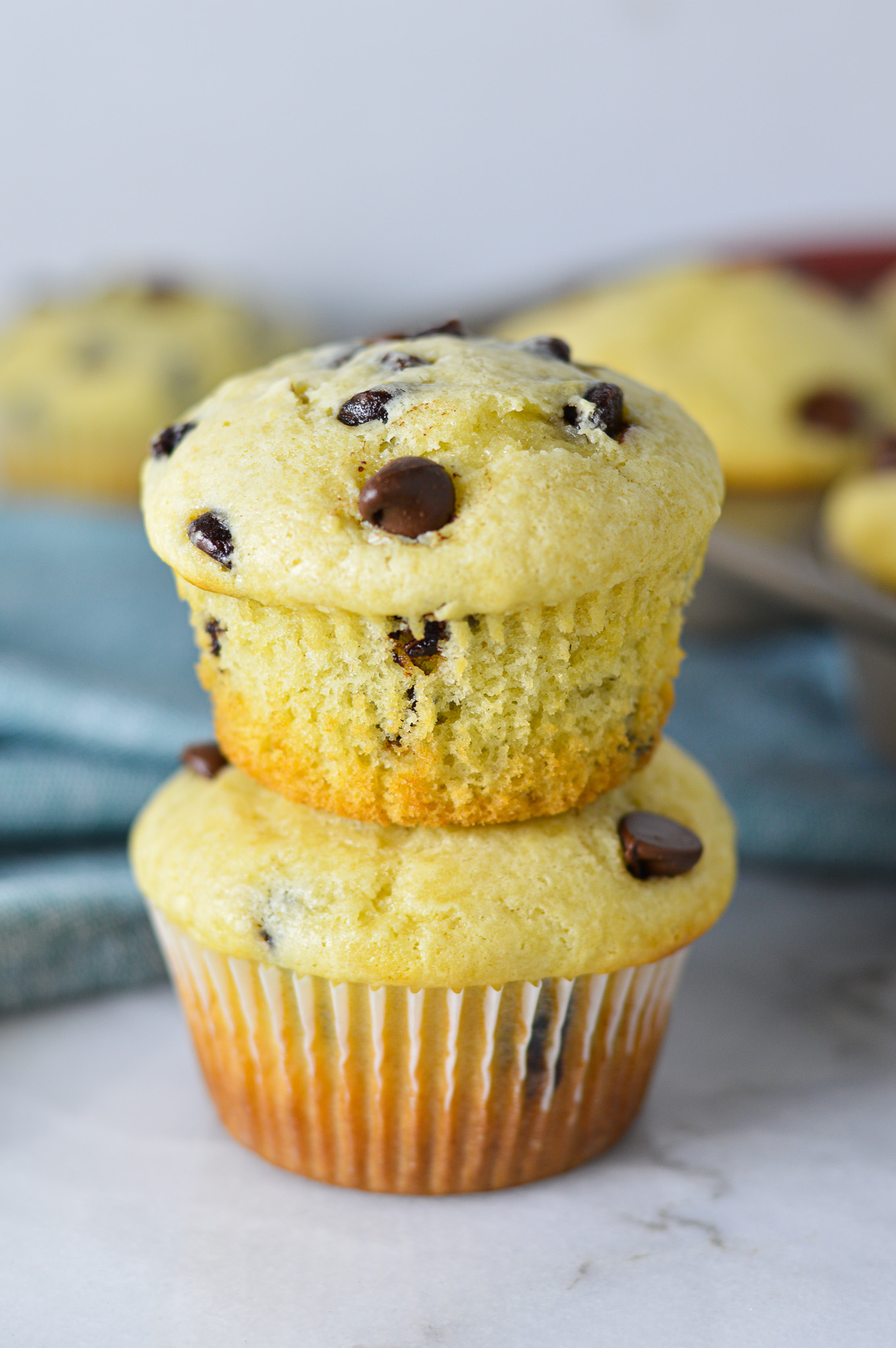 Sour Cream Chocolate Chip Muffins | A Taste of Madness