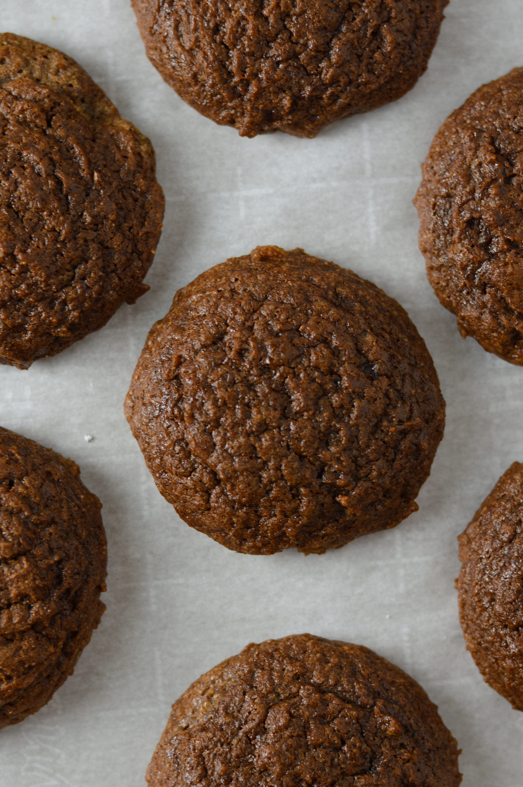 Fudgy Chocolate Cookies | A Taste of Madness