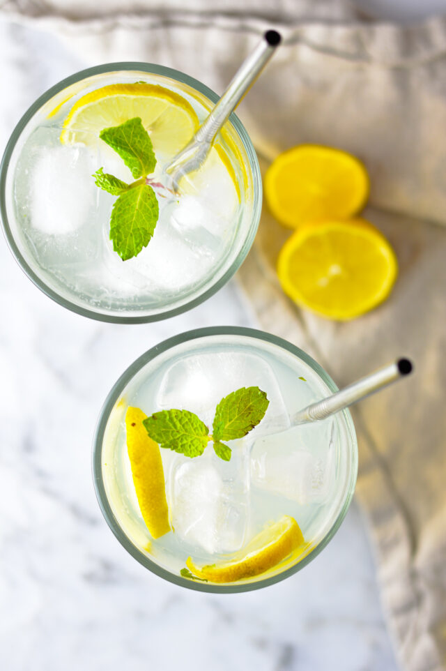 Meyer Lemon Mojito | A Taste of Madness