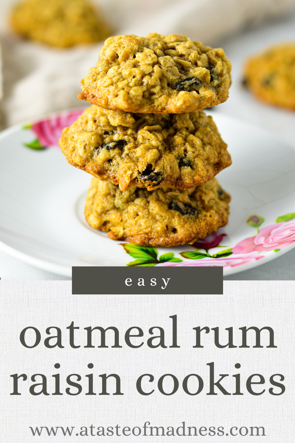 Oatmeal Rum Raisin Cookies | A Taste of Madness