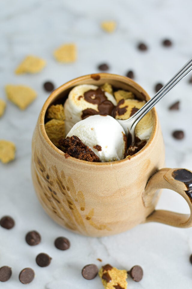 S'mores Mug Cake - A Taste of Madness