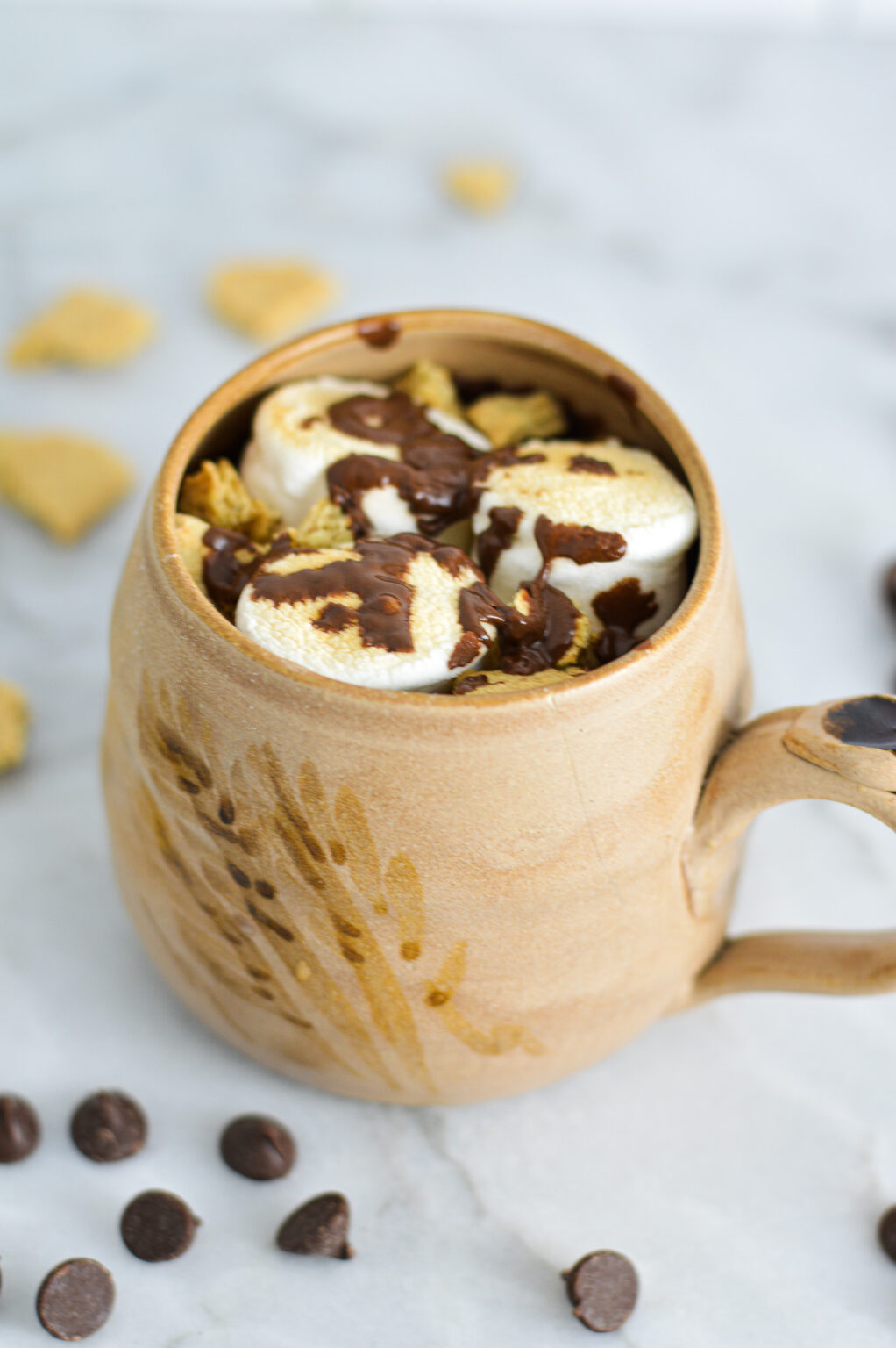 S'mores Mug Cake | A Taste of Madness