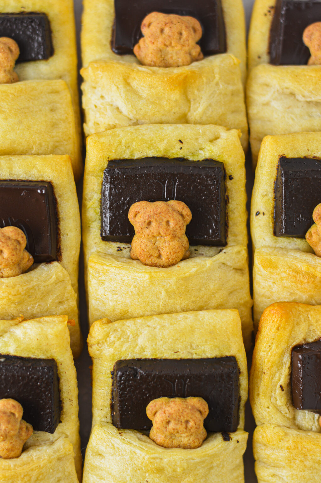 Bears in a Blanket - A Taste of Madness