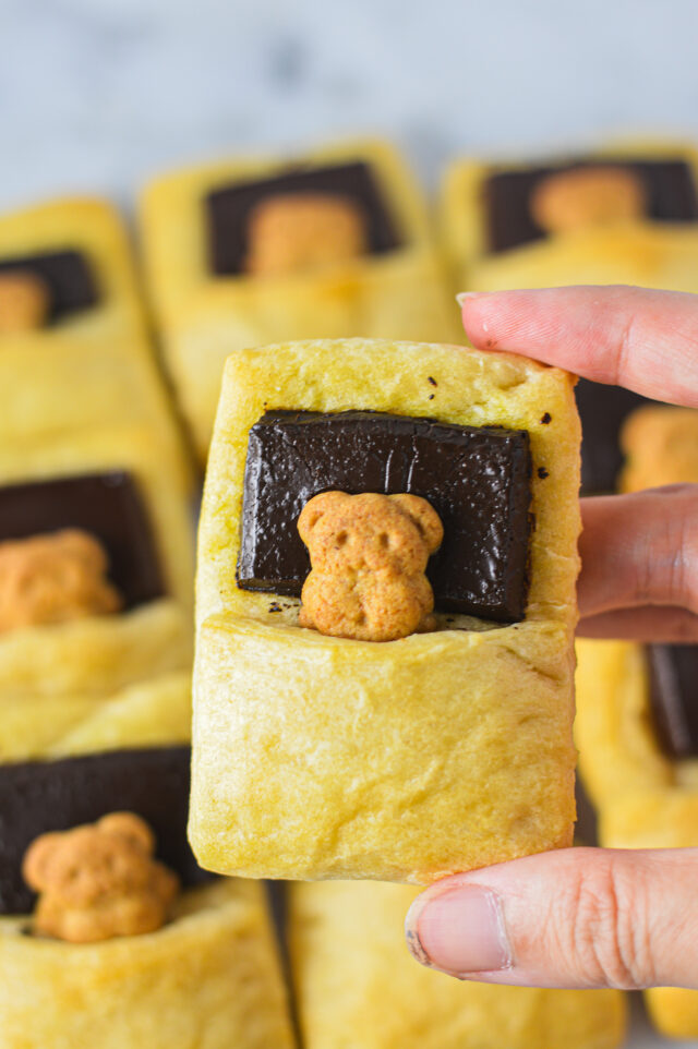 Bears in a Blanket - A Taste of Madness