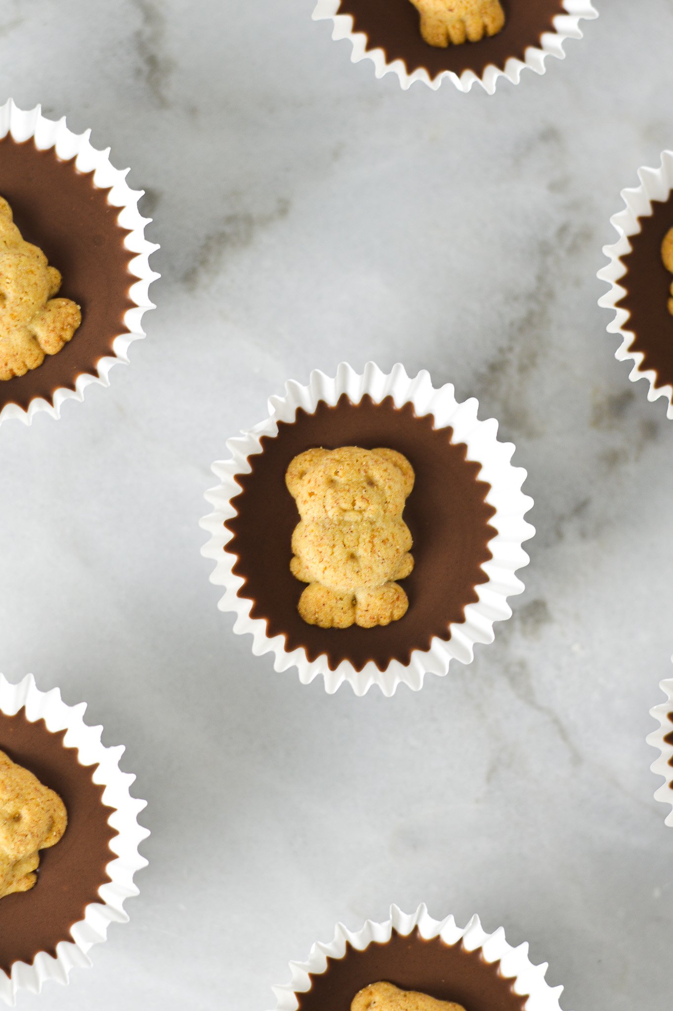 Teddy Graham Nutella Cups | A Taste of Madness