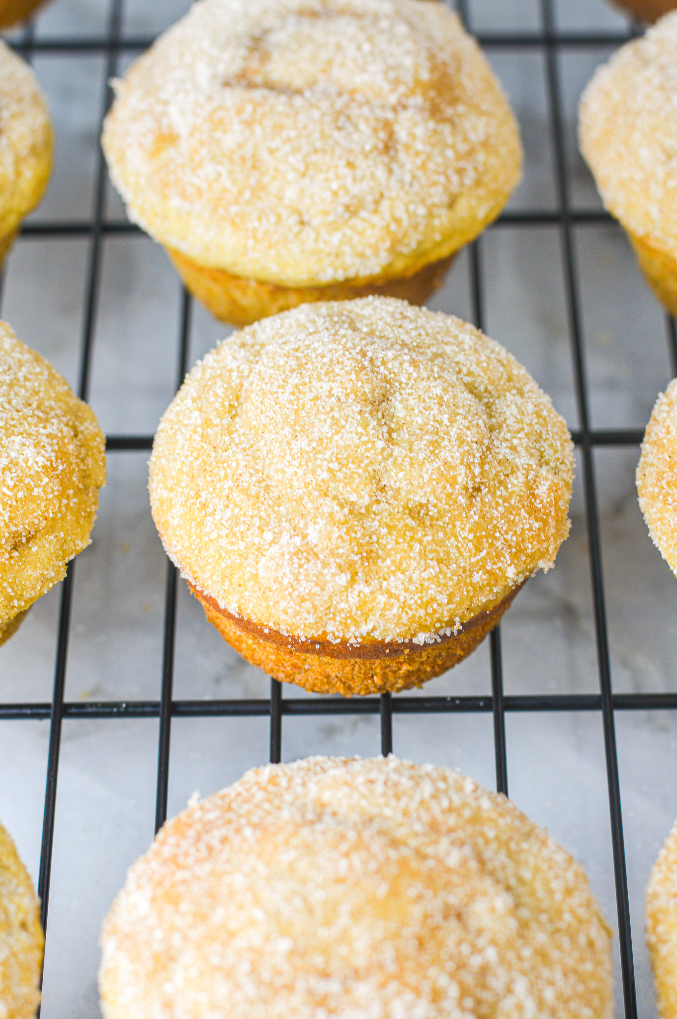 Donut Muffins - A Taste of Madness