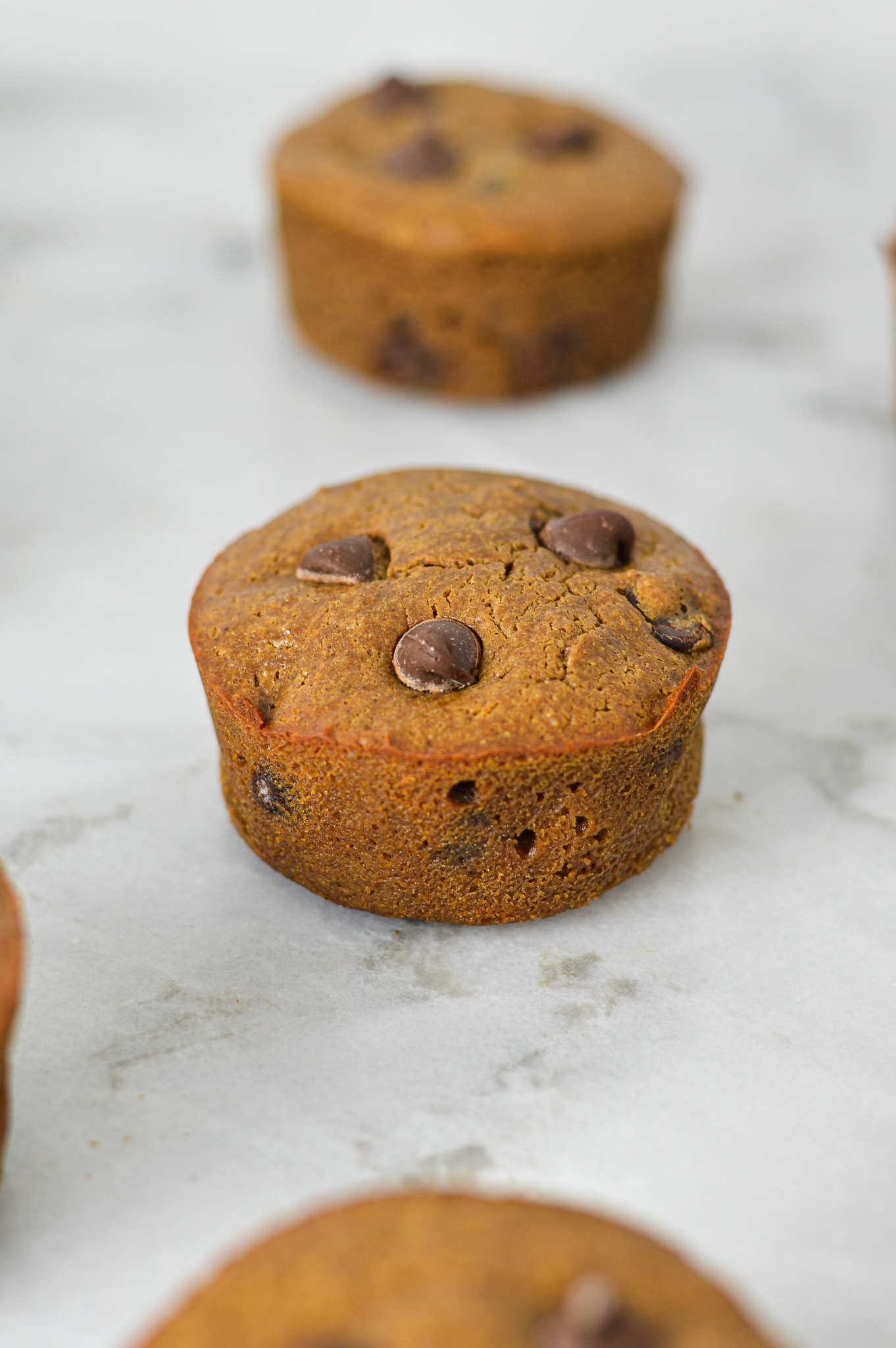 Protein Mocha Chocolate Chip Muffins | A Taste of Madness