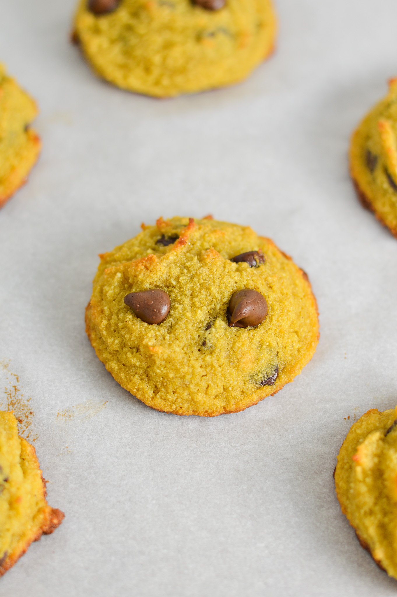 Coconut Flour Chocolate Chip Cookies | A Taste of Madness